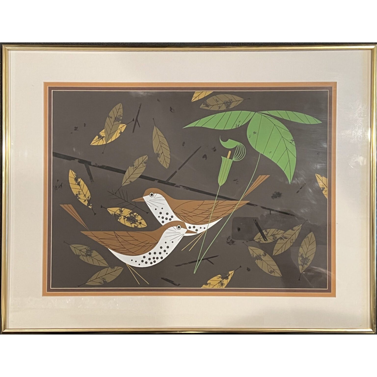 Framed Prints - The Charley Harper Gallery